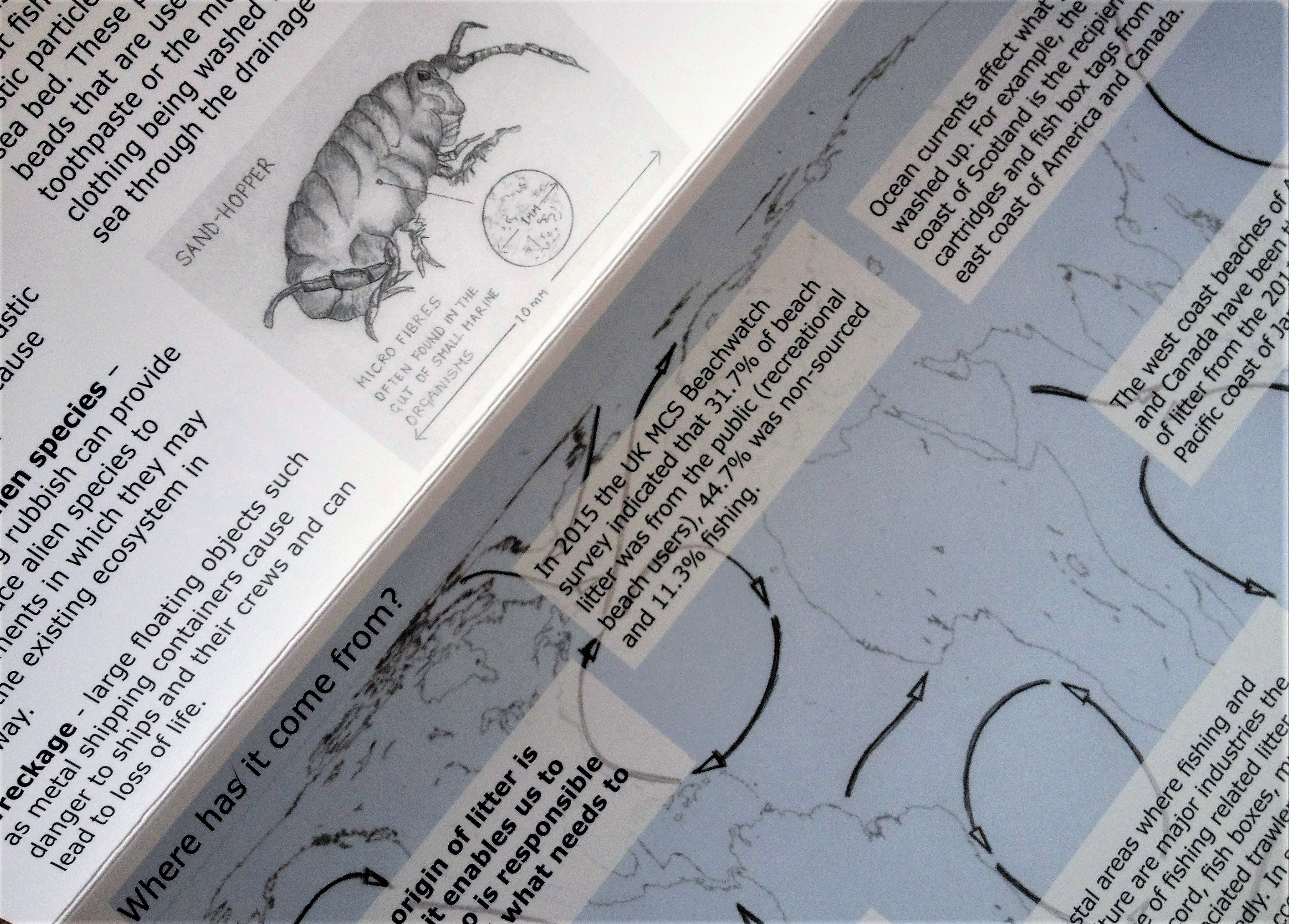 guide-sandhopper-map – littoral: sci-art project