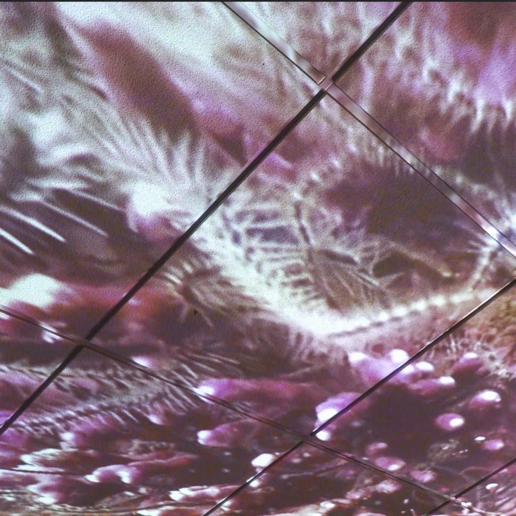 littoral: sci-art project – working to draw attention to our coastal ...