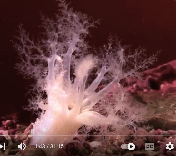 littoral: sci-art project – working to draw attention to our coastal ...